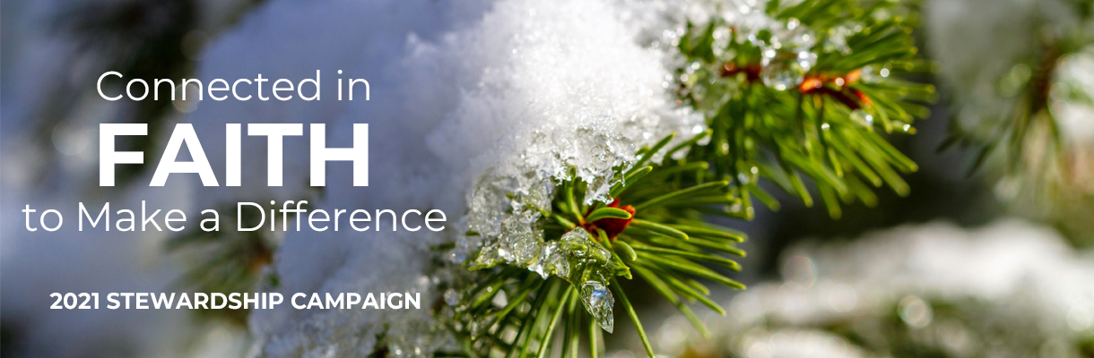 Stewardship | Reveille