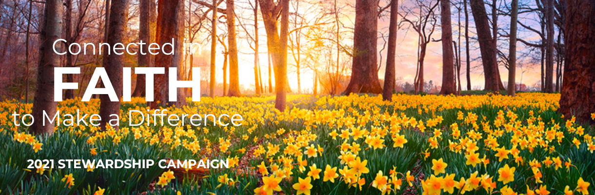 Stewardship | Reveille